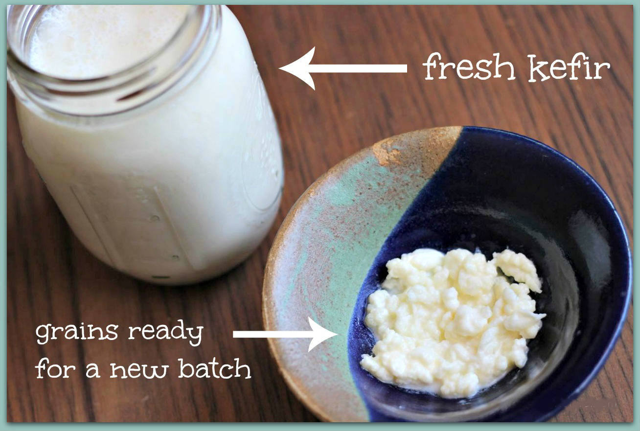 Kefir – Probiotic That Brings Health and Longevity | Best Herbal Health